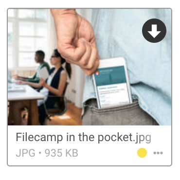 Features | Only The Features You Need | Filecamp