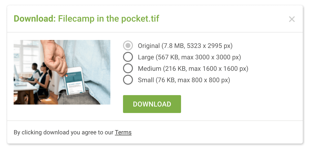Filecamp - Image and Media Library software for Business
