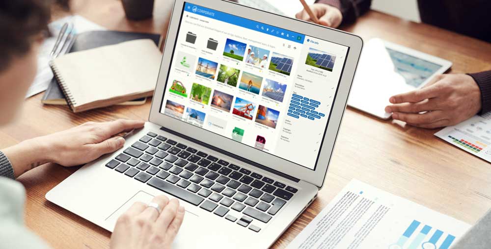 Professional Media Library for Business: A Complete Guide