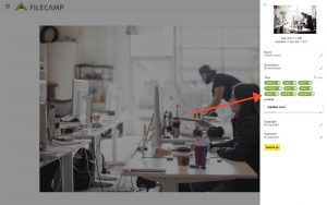 Easy-To-Follow Steps On Organizing Your Digital Files