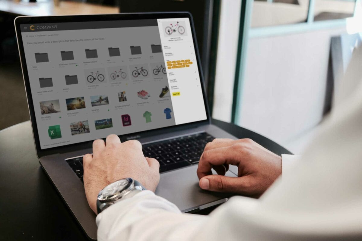 Elevate your brand with Digital Asset Management | Filecamp
