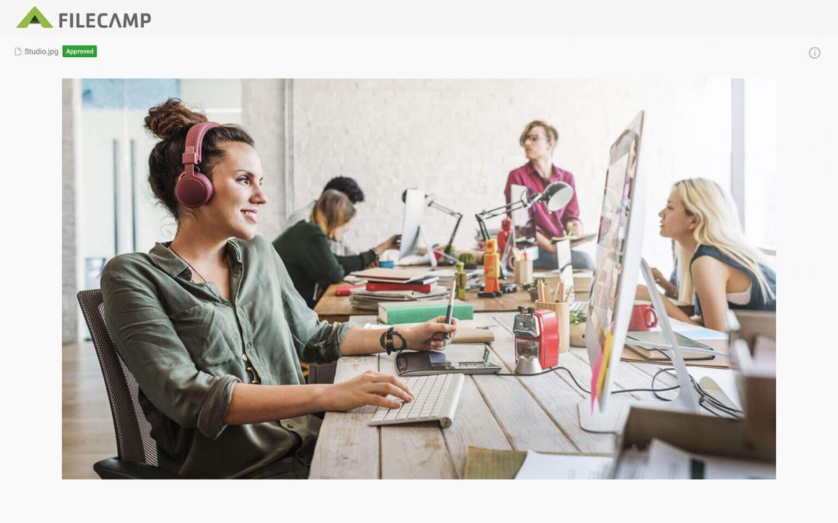 Share file links | Filecamp