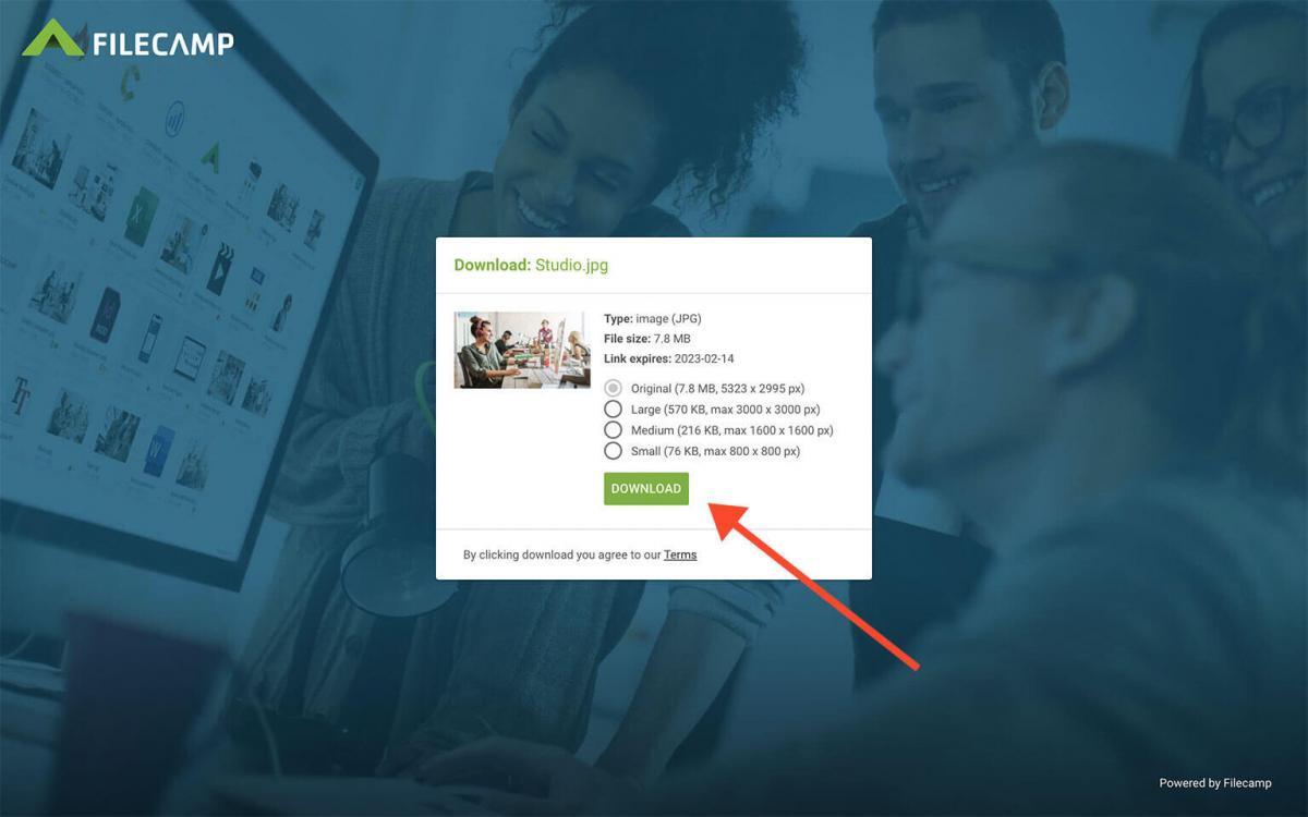 Share file links | Filecamp