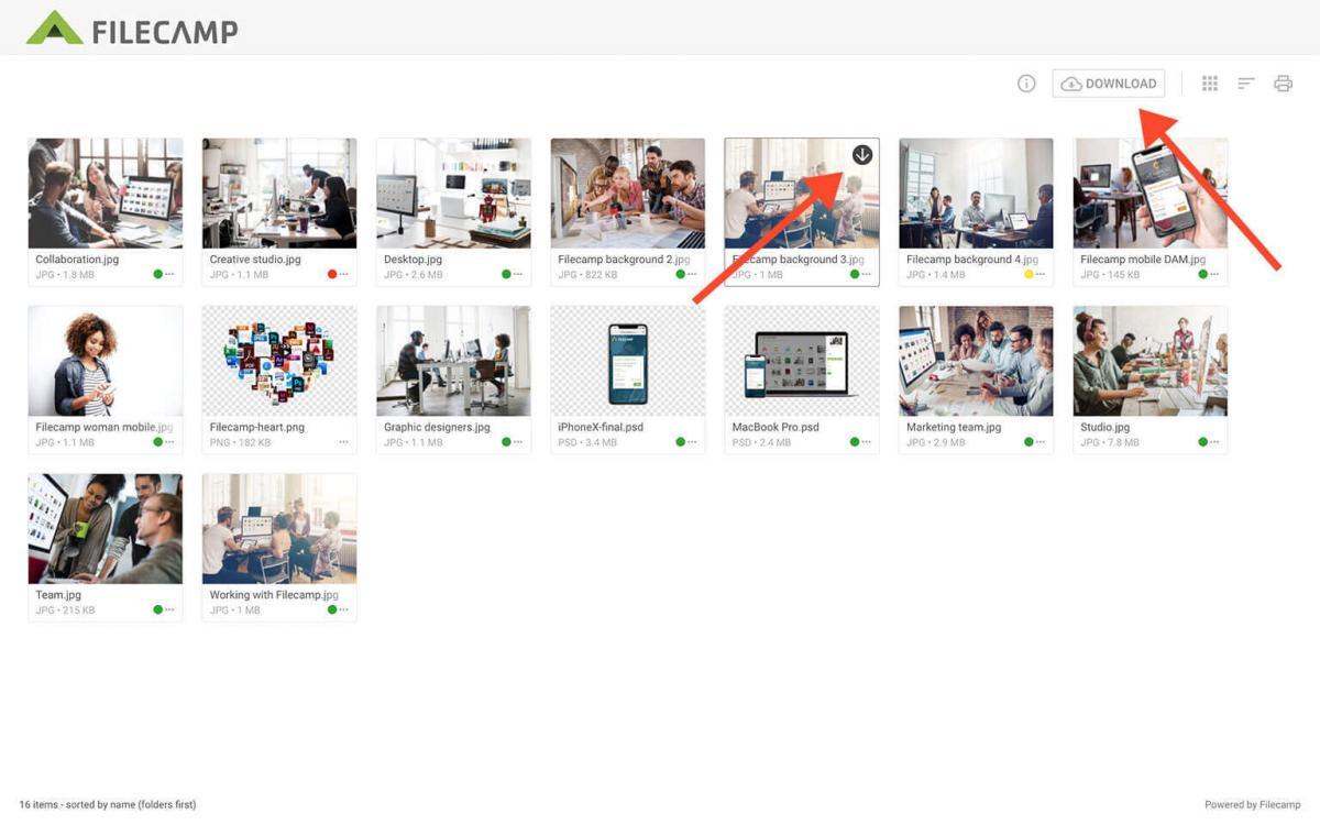 Share file links | Filecamp