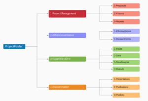 Easy-To-Follow Steps On Organizing Your Digital Files