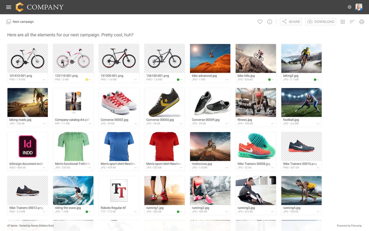 Edit Folder | Filecamp